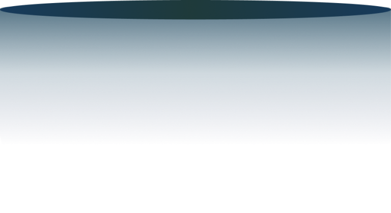 LOGIC Mobility | L65T