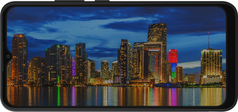 LOGIC Mobility | L66 PRO